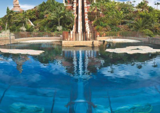 Tenerife con niños (las mejores actividades y planes) - Pequeocio