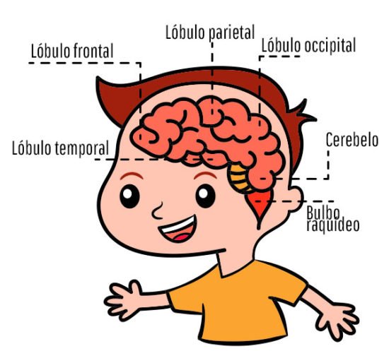 Tdah Todo Lo Que Debes Saber Pequeocio