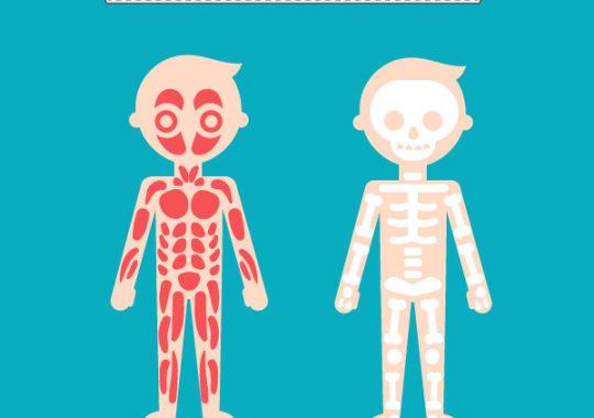 Ciencias Naturales para niños, con fichas y ejercicios - Pequeocio