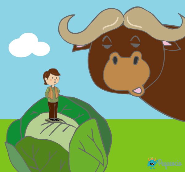 Garbancito [cuento corto para niños] | Pequeocio.com