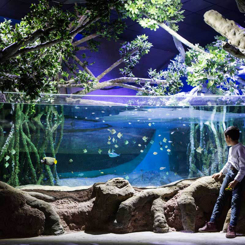 Acuario de Sevilla - Pequeocio