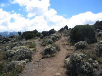 Ecosistema: definición y tipos de ecosistemas - Pequeocio