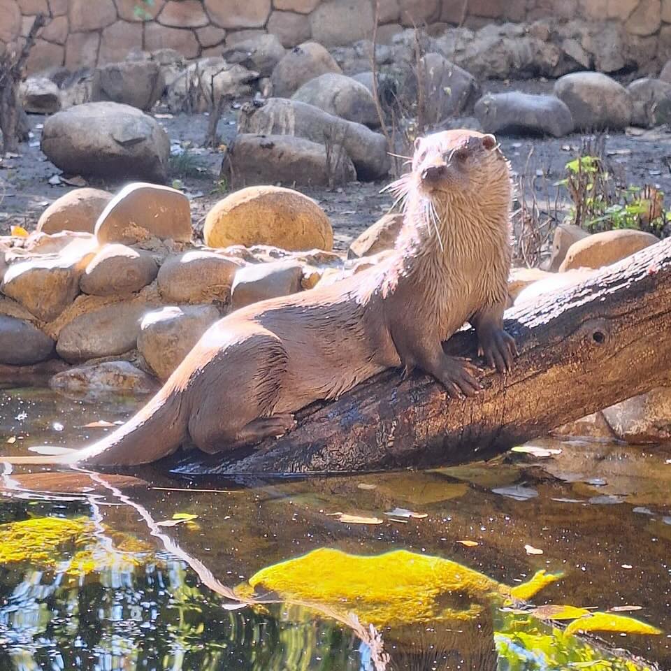 Cádiz con niños (20 planes que no te puedes perder) - Pequeocio