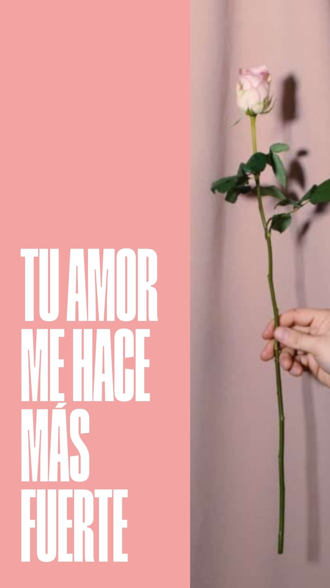450 frases de amor que harán latir tu corazón más rápido - Pequeocio