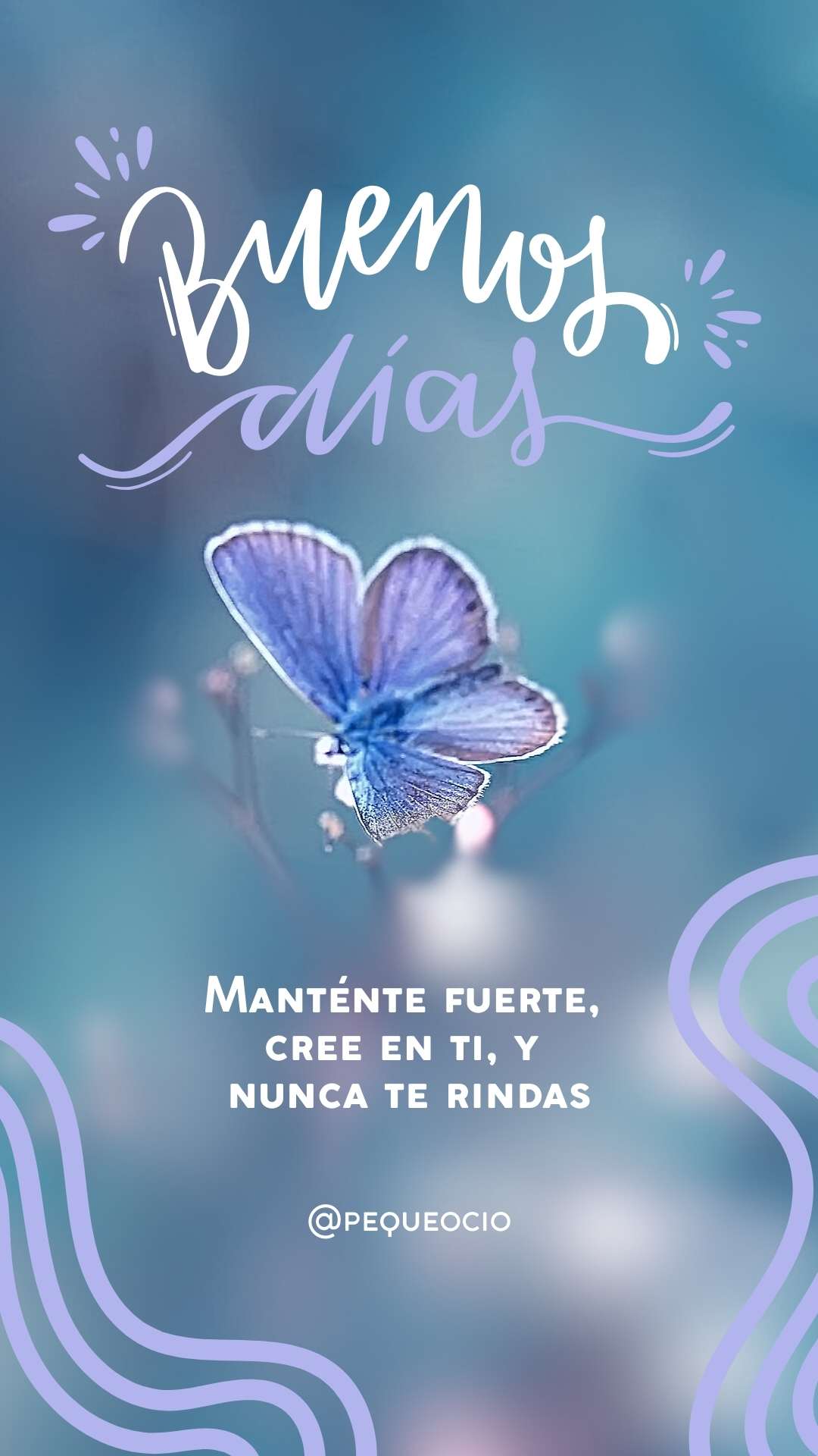 300 frases de BUENOS DÍAS que iluminarán tus mañanas y las de tus seres ...