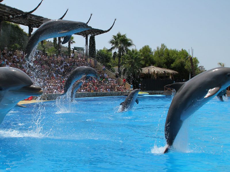 Mundomar en Benidorm | Pequeocio